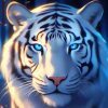 Иконка канала Mr. Tiger