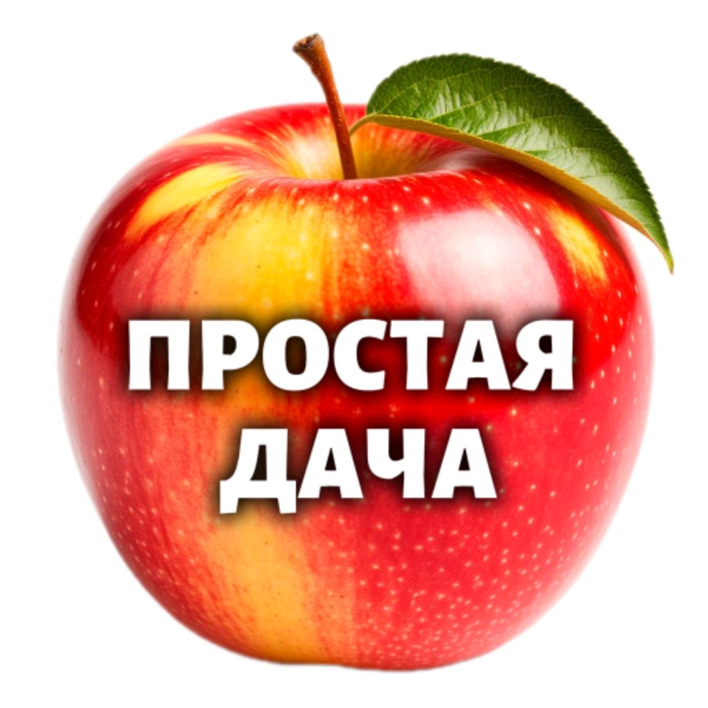 Иконка канала ПРОСТАЯ ДАЧА