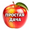 Иконка канала ПРОСТАЯ ДАЧА