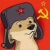 Иконка канала Lipsey