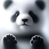 Иконка канала Панда ТВ