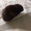 Иконка канала Рамис Ромео