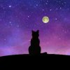 Иконка канала 🌕 Moonlit Лира 🌕
