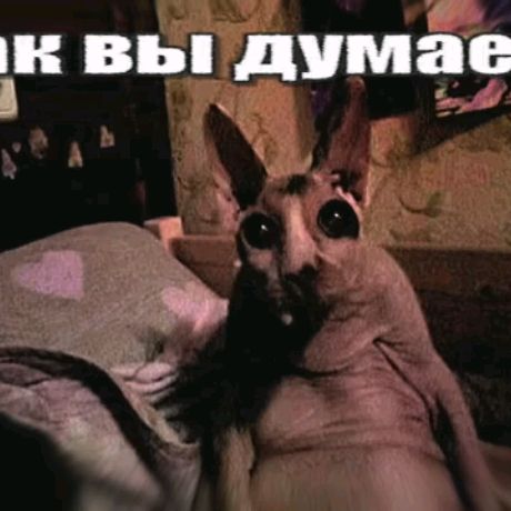 Иконка канала Муф Лан