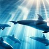 Иконка канала Delfin999