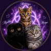 Иконка канала Мышка🐾Муся🐾Маруся