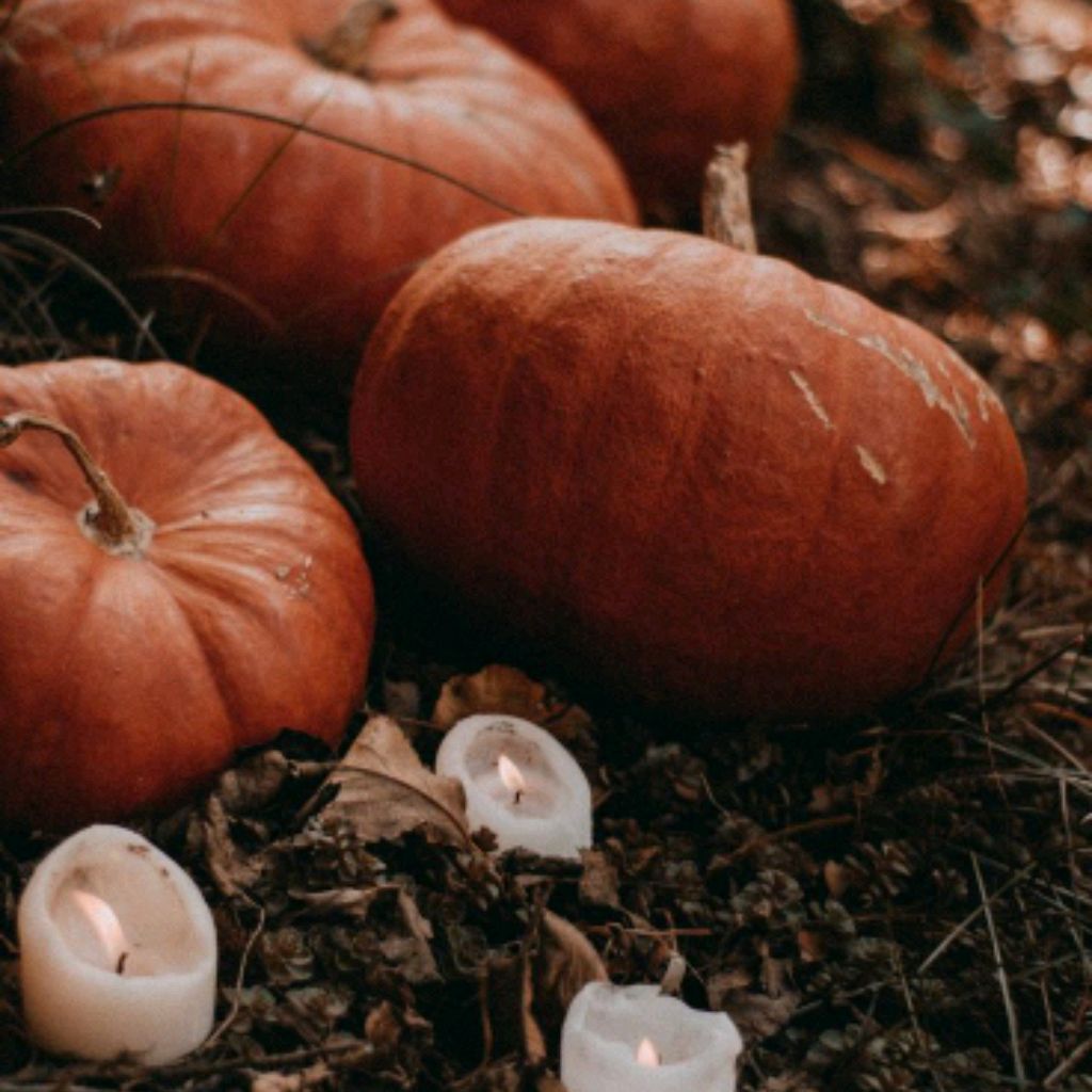 Иконка канала Sweet Pumpkin 🎃