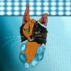 Иконка канала |°☆~Misty Dawn And Chestnut~☆°|WC|WCUE|Taiga Art|