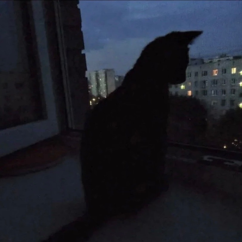 Иконка канала Сникерс_rbx🐾