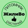 Иконка канала Питомник растений Жиливо