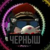 Иконка канала 😼ЧЕРНЫШ😺