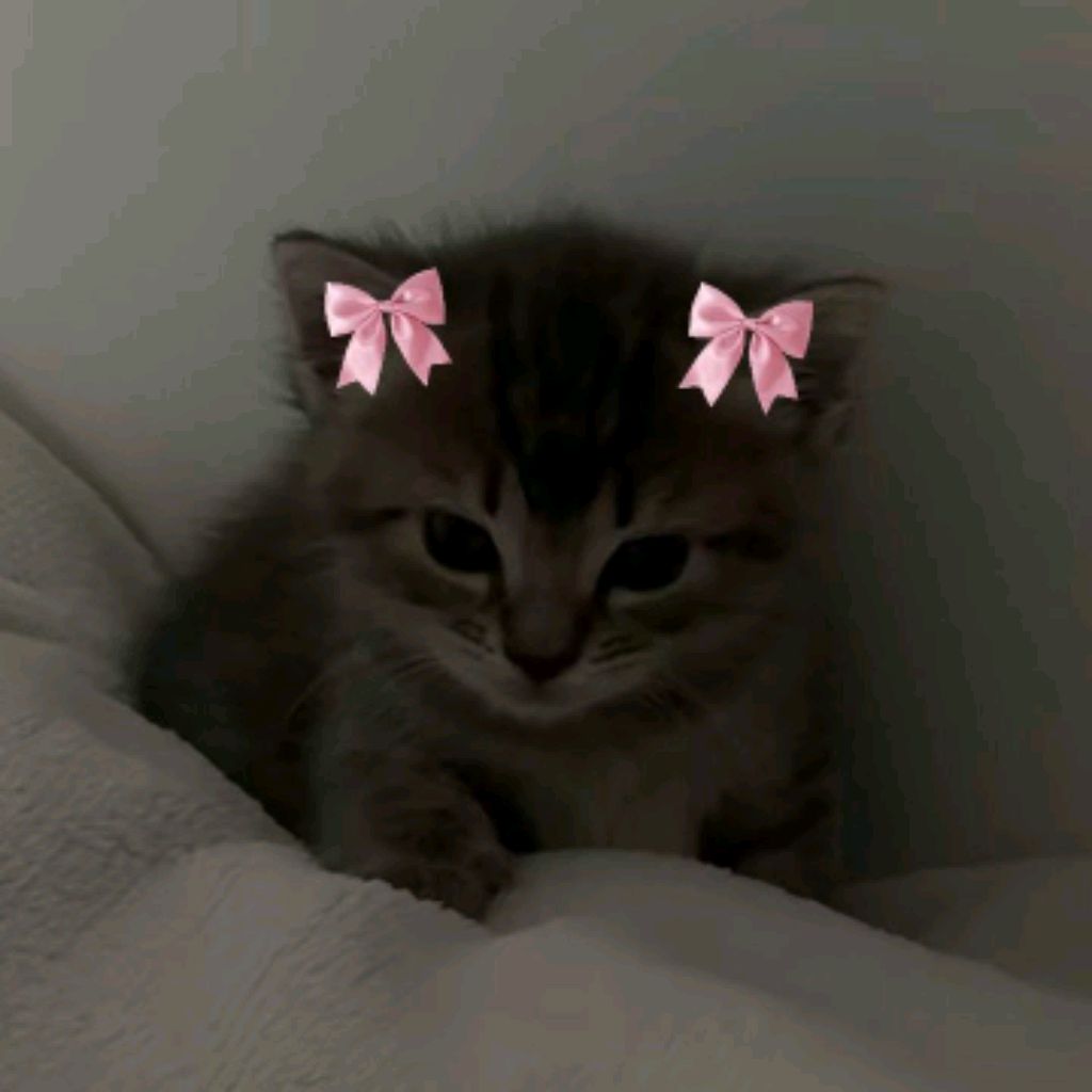 Иконка канала Милашка ❤️