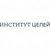 Иконка канала Институт целей