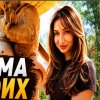 Иконка канала Мама троих