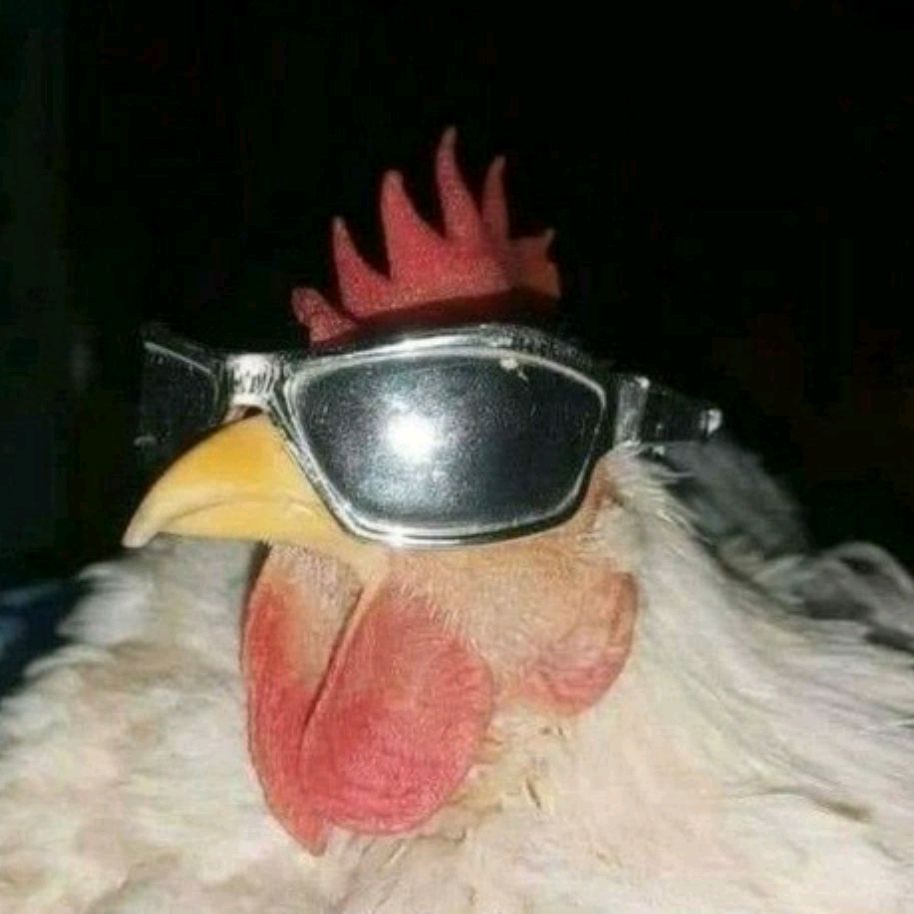 Иконка канала channel79637700