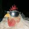 Иконка канала channel79637700