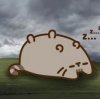 Иконка канала usertwitchstream