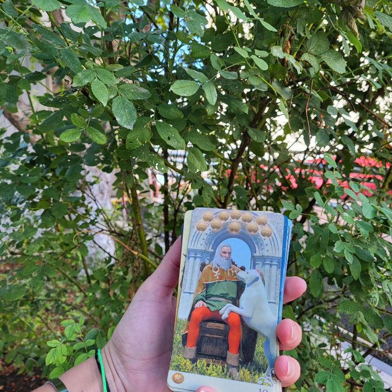 Иконка канала Ваш Путь 💫 ТАРО