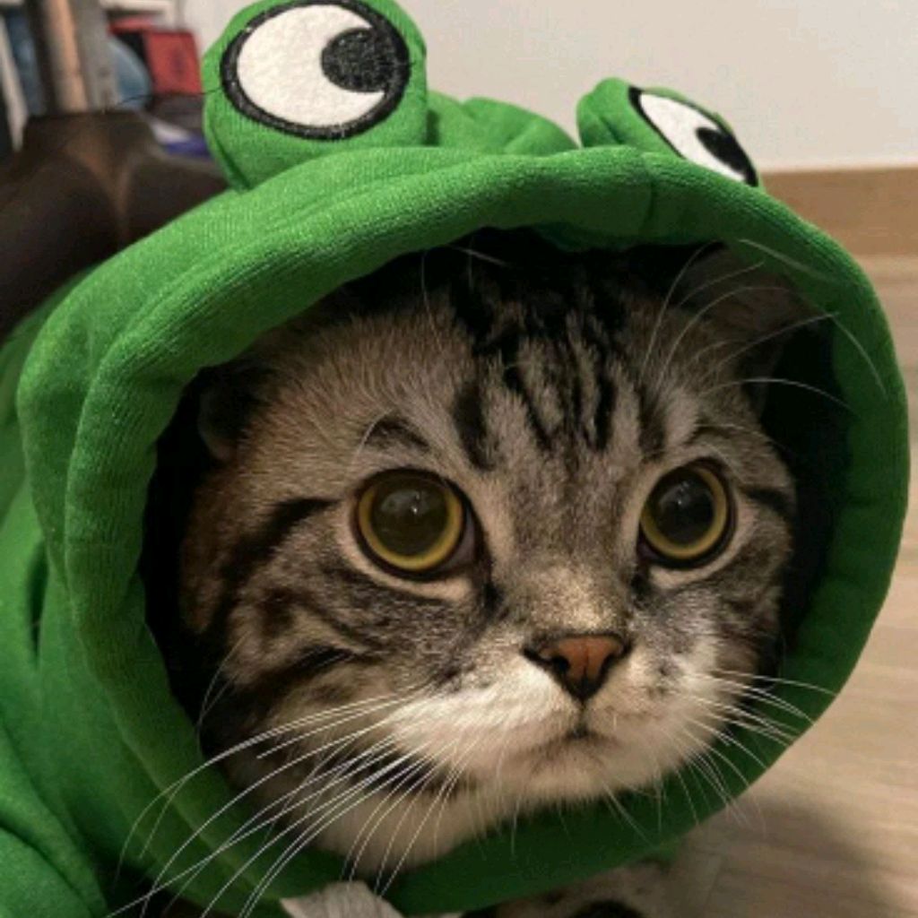 Иконка канала Кошачьи Игры🩷😺