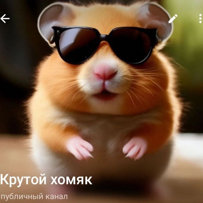 Иконка канала Крутой хомяк