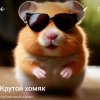 Иконка канала Крутой хомяк