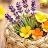 Иконка канала Жизнь в частном доме.