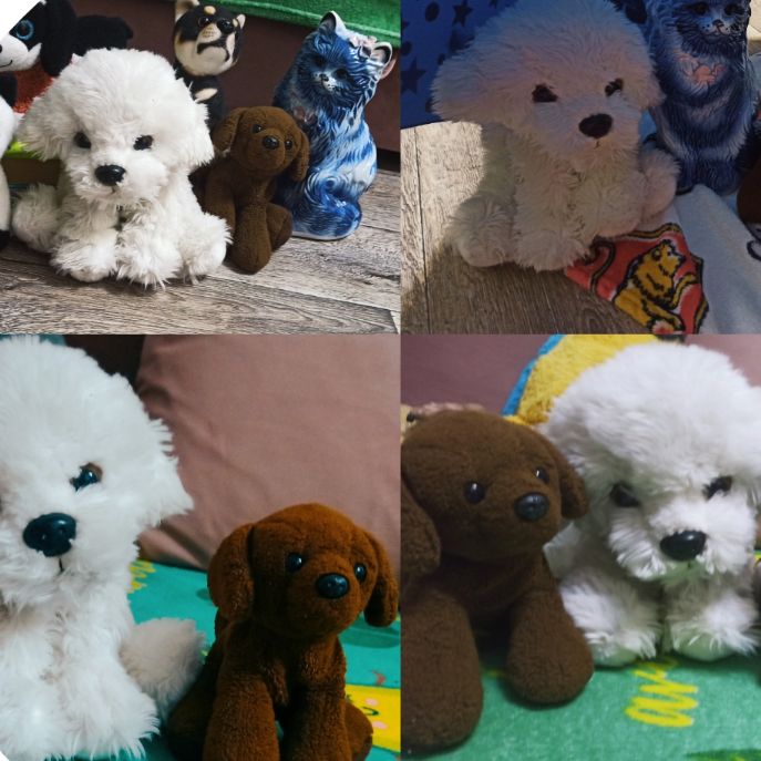 Иконка канала 🐶Pet_Vani🐶