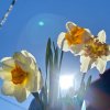 Иконка канала Жизнь по-кубански : из Сибири с любовью!