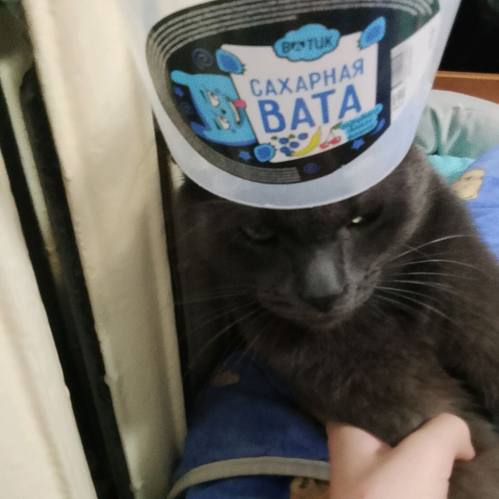 Иконка канала RuКирилл Кот😼