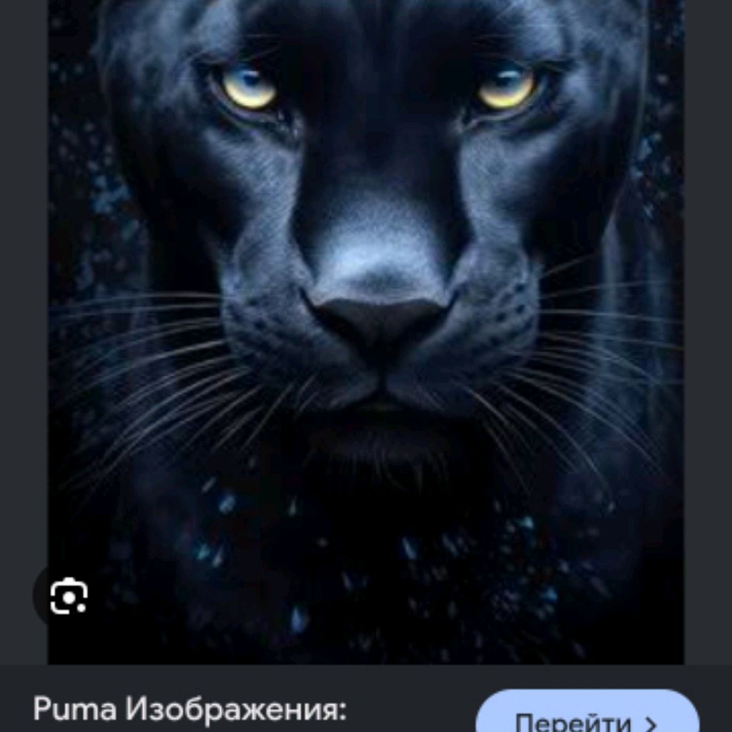 Иконка канала Rem
