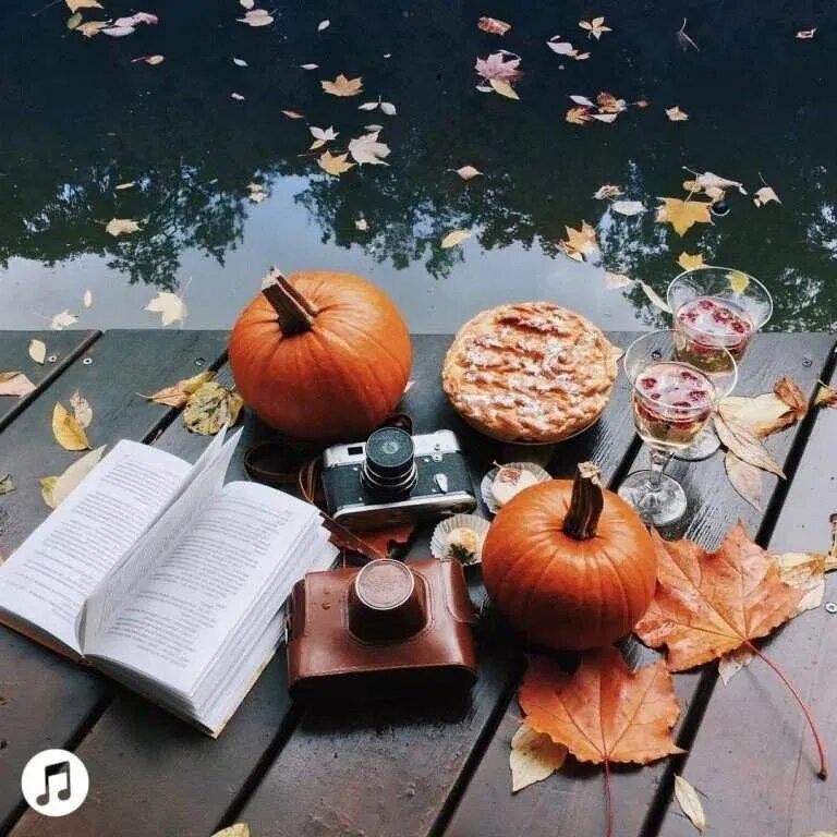 Иконка канала 𝓢𝓱𝓪𝓻𝓵𝓸𝓽𝓽𝓪 𝓥🍁🫧