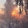 Иконка канала Весна Лето Осень Зима