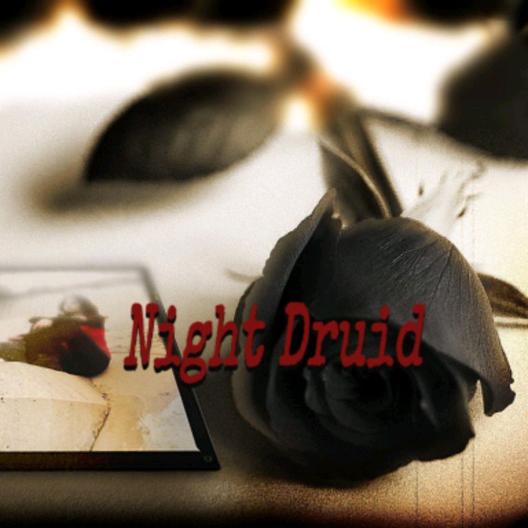 Иконка канала Night Druid