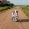 Иконка канала Голова Кактуса