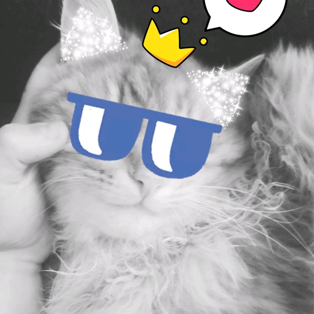 Иконка канала Мандарин Кот 🐈😼🐈😼