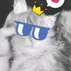 Иконка канала Мандарин Кот 🐈😼🐈😼