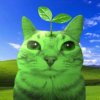 Иконка канала ⚡XENIK🌿