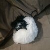 Иконка канала Бравлгранд И Максим+