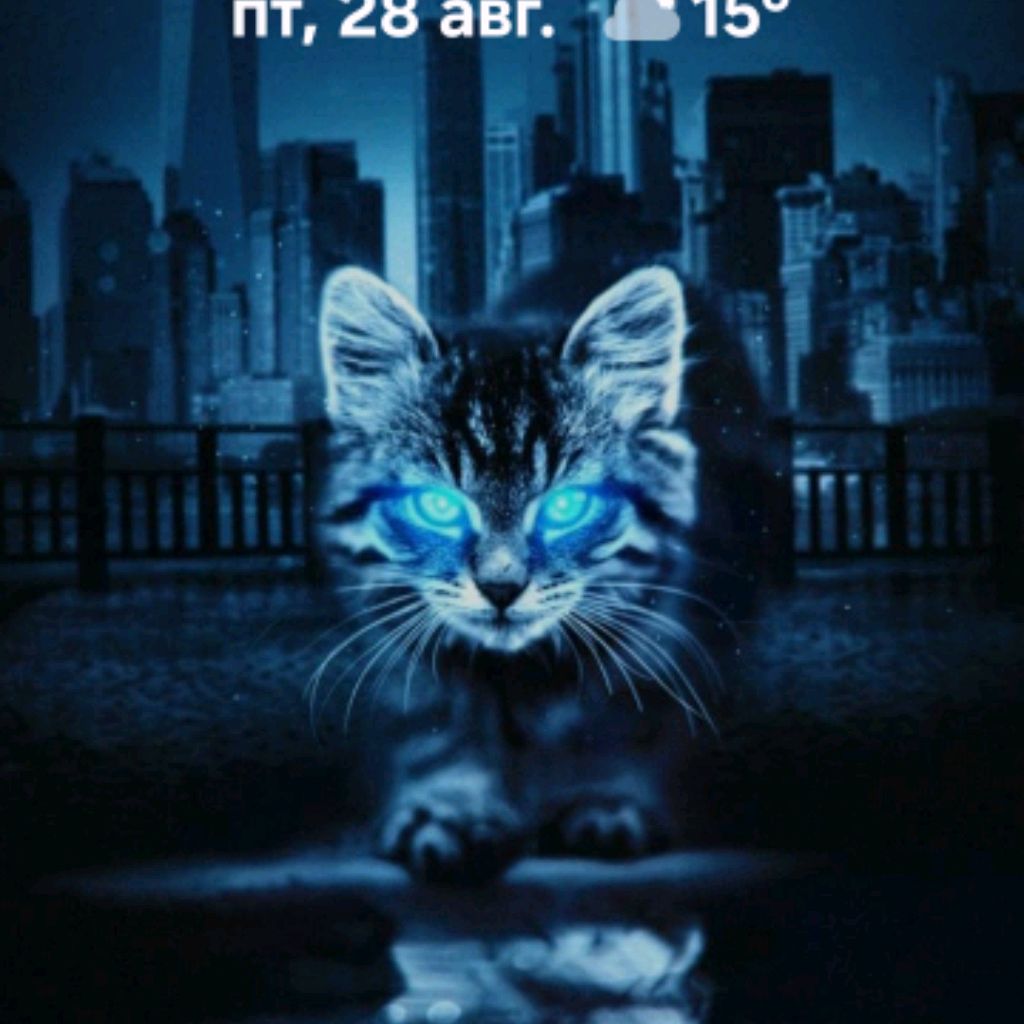 Иконка канала 😆Котик Миша🐱 25к