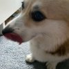 Иконка канала Мотя