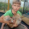Иконка канала Димон Санек И Владос