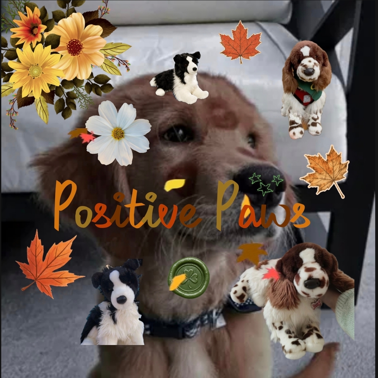 Иконка канала 🍂🍁~𝓟𝓸𝓼𝓲𝓽𝓲𝓿𝓮 𝓹𝓪𝔀𝓼~🍁🍂