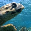 Иконка канала Подводный Мир