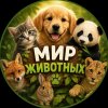 Иконка канала Мир Животных