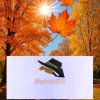 Иконка канала 🍂Осений🍂 🍂Electric960K🍂