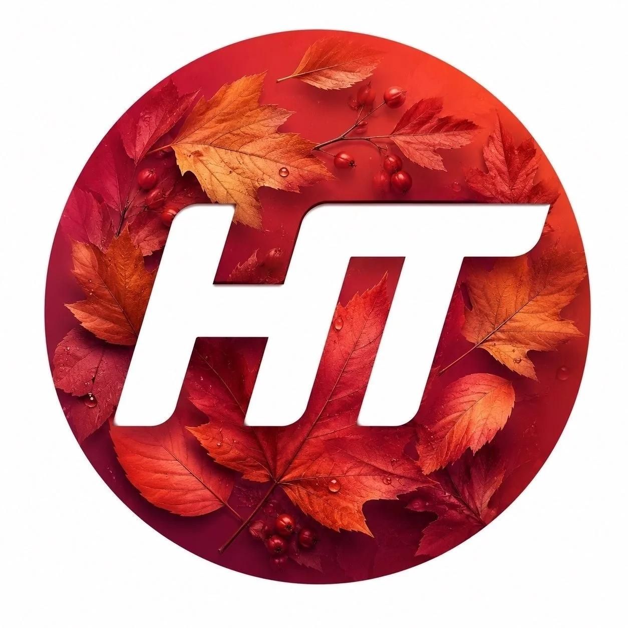 Иконка канала Новгородское областное телевидение