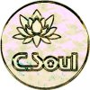 Иконка канала С.Soul