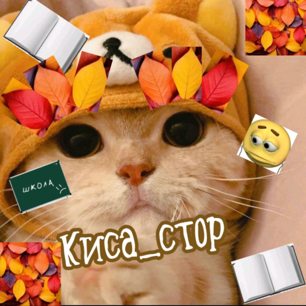 Иконка канала 🍁🐱 Киса_Стор🐱🍁
