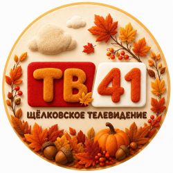 Иконка канала ТВ41| Щелковское телевидение