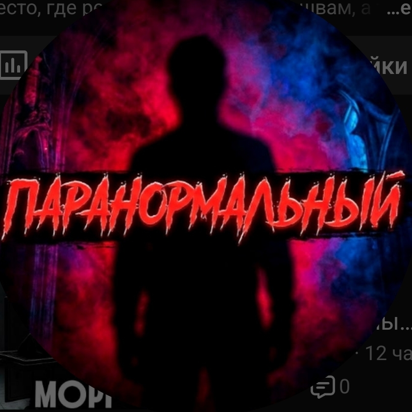 Иконка канала СТРАШНЫЕ ИСТОРИИ НА НОЧЬ ОТ ПАРАНОРМАЛЬНОГО